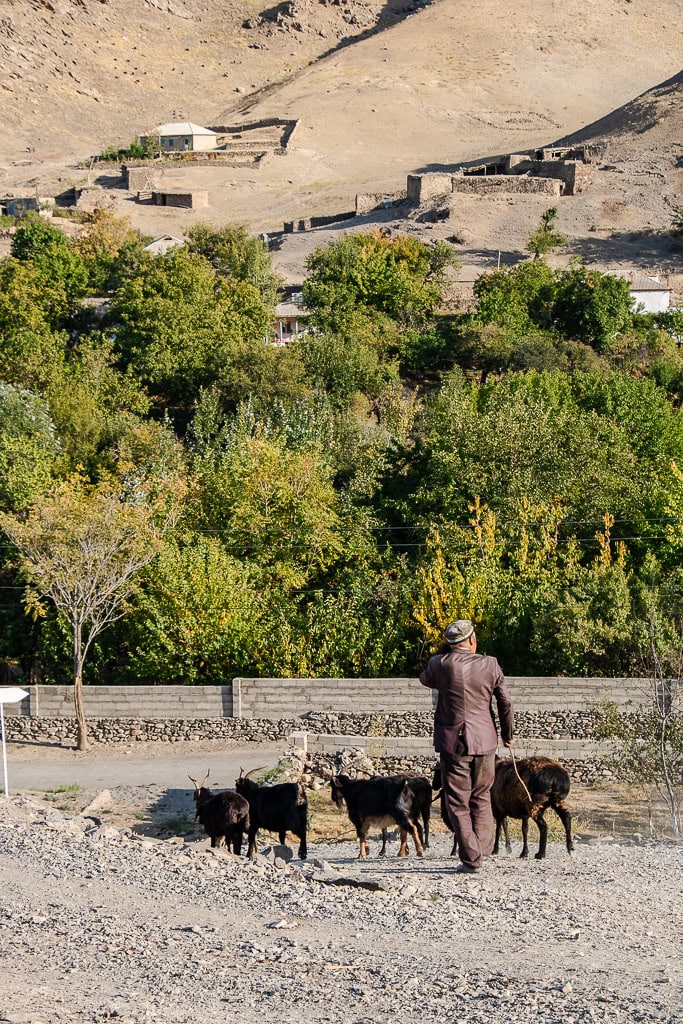 11 Exciting Things to Do in Uzbekistan | Beyond the Silk Road