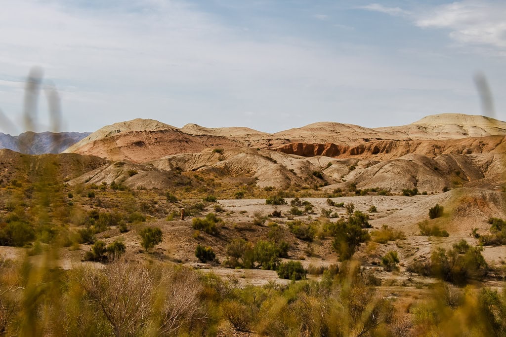 Everything You Need to Know about Altyn Emel National Park, Kazakhstan