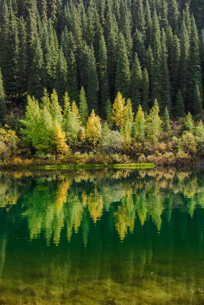 Kaindy Lake, Kazakhstan: Complete Travel Guide to the Sunken Forest